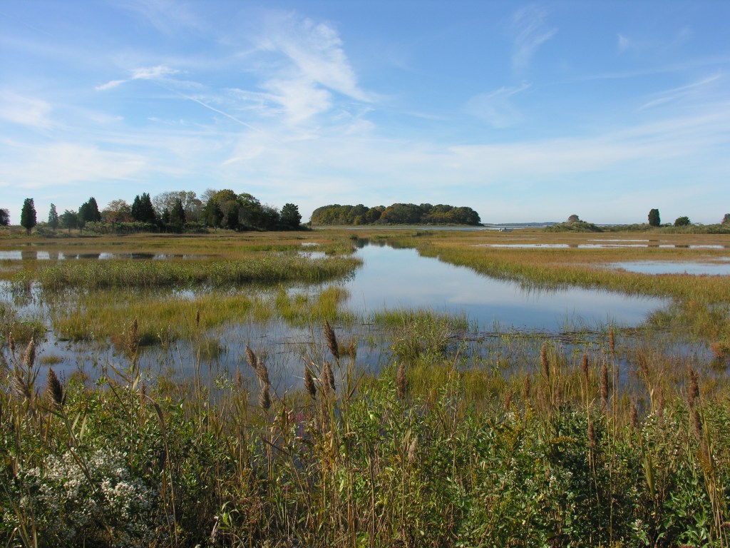Falling for Barn Island | Digging RI